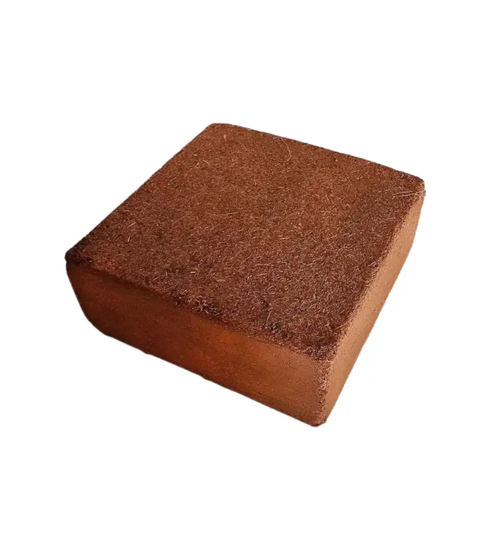 Cocopeat Block Low EC from KVG Agri Farm