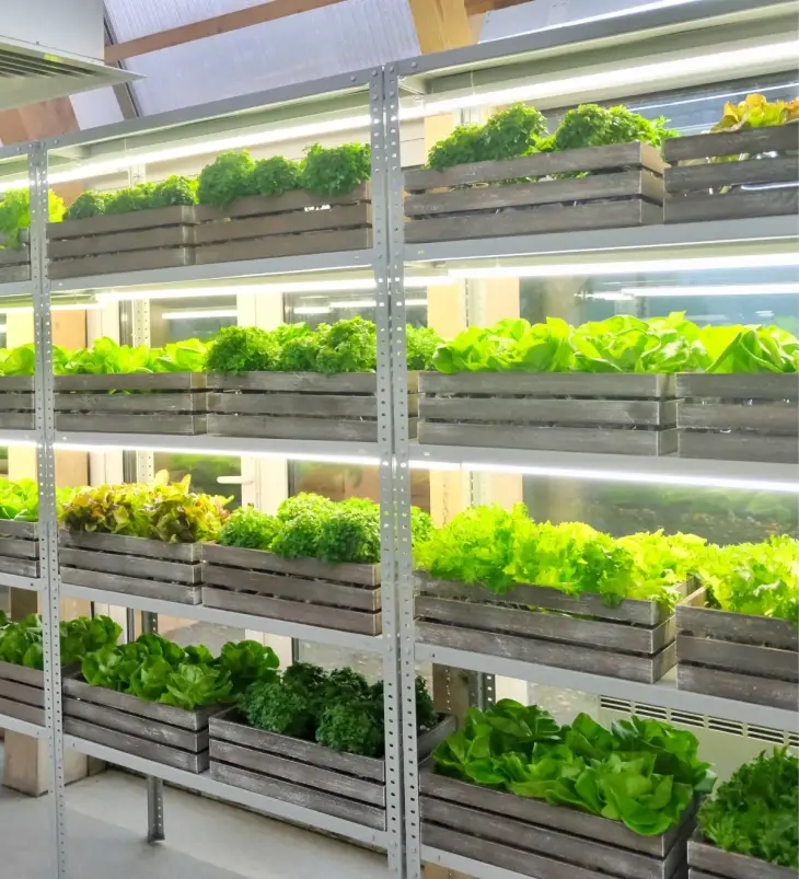 Vertical Farming Racks